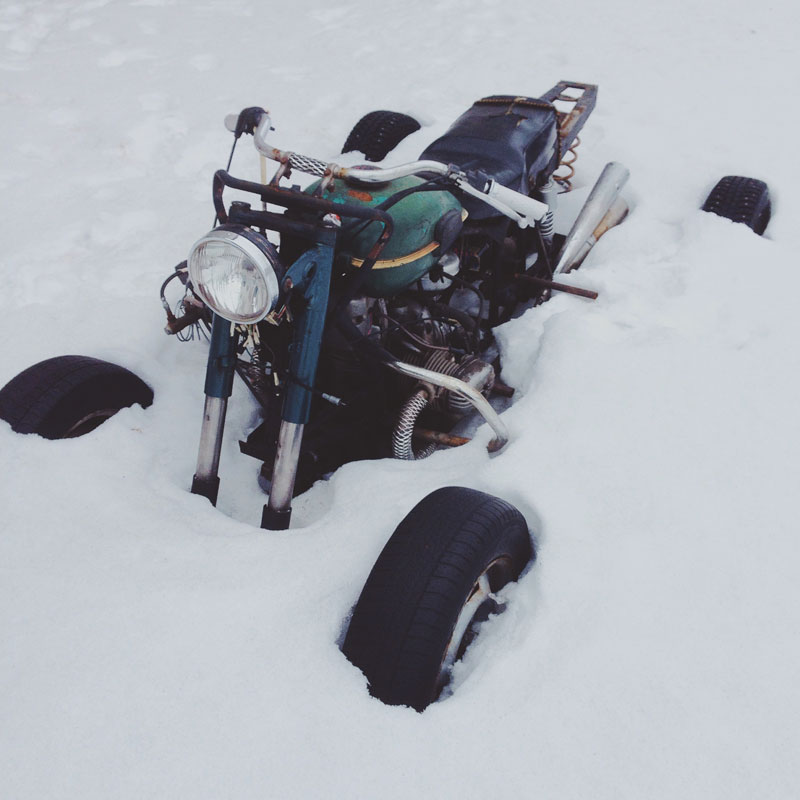 Snowdrop Cycle - Russian Life