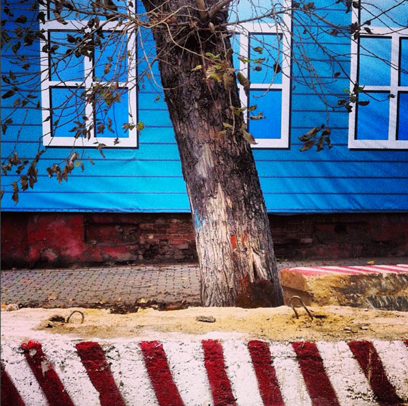 Tree - Russian Life