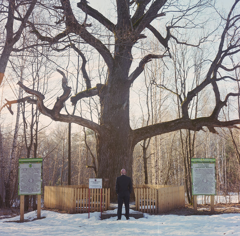 Tree - Russian Life